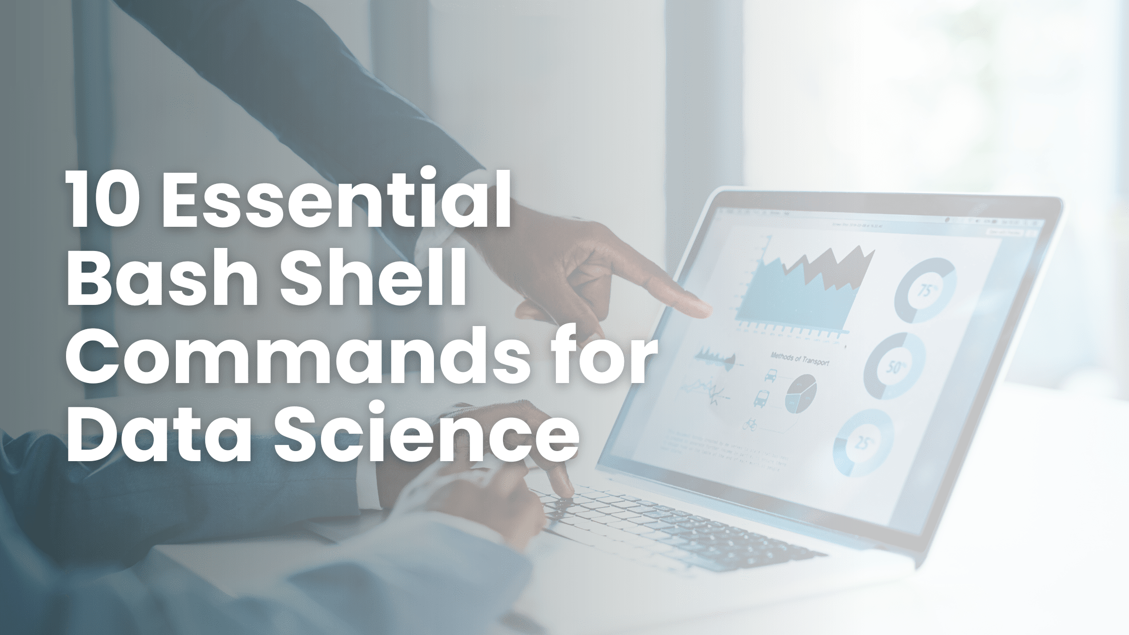10 Essential Bash Shell Commands For Data Science Dss Solutions